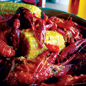 The Crawfish Are Coming! - Chasin' Tails