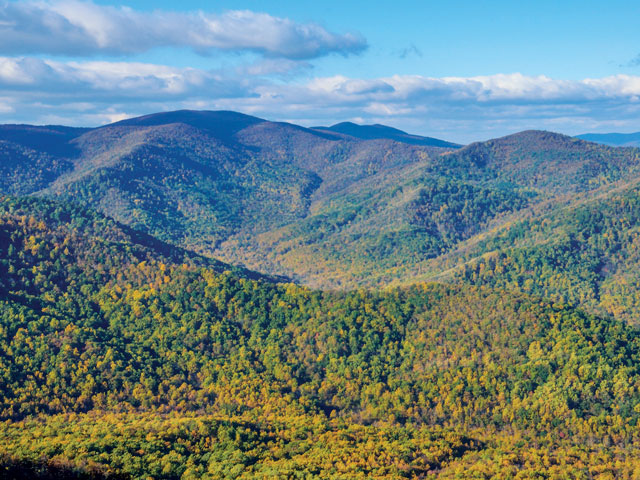 7 Beautiful Virginia Hikes - When You Need a Change of Scenery