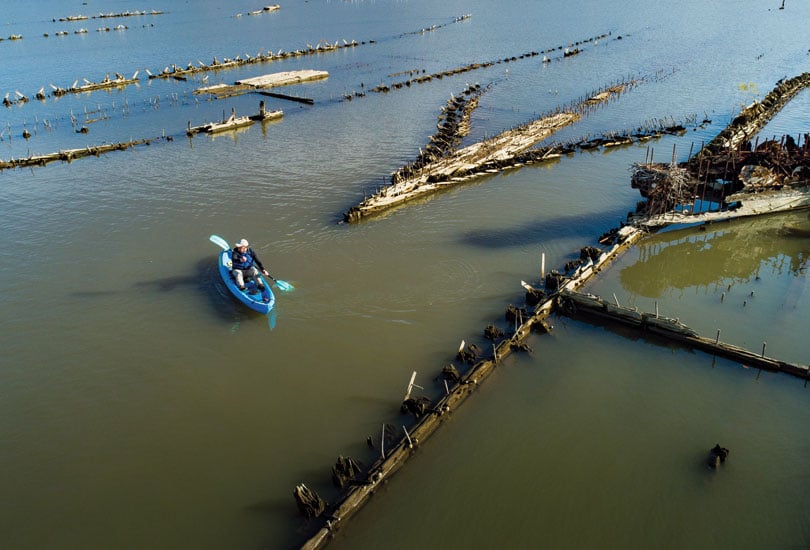 Explore the Mallows Bay Ghost Fleet, a Ship Graveyard