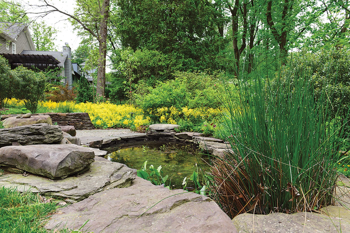 Embrace the Rain: How and Why Planting a Rain Garden is a Good Idea